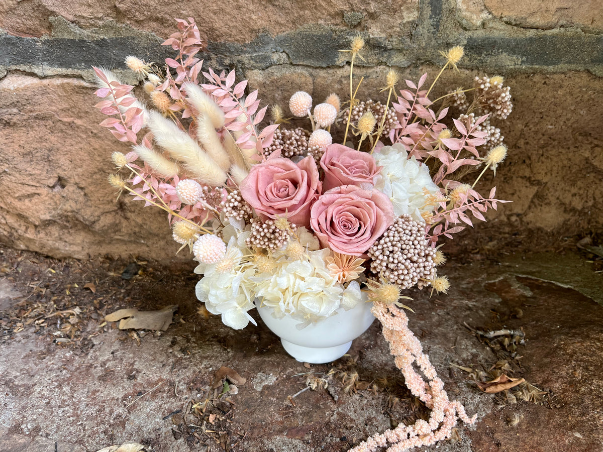 Preserved Flowers | Starfish Florist