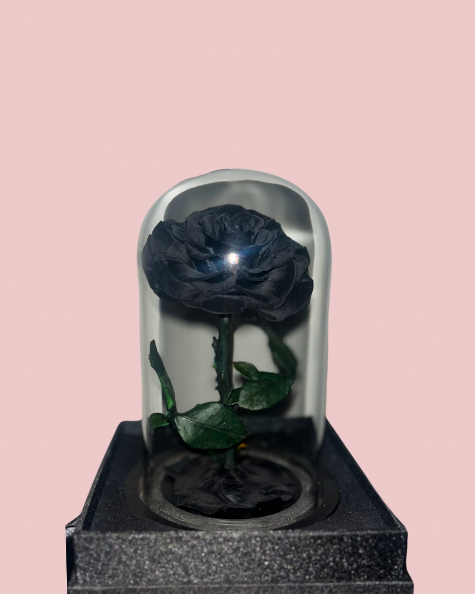 Preserved Black Rose Dome – Starfish Florist