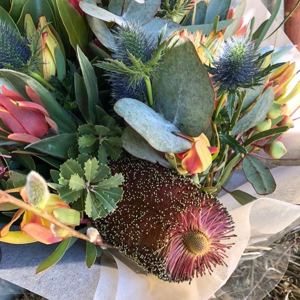 Creative Native Flowers – Starfish Florist