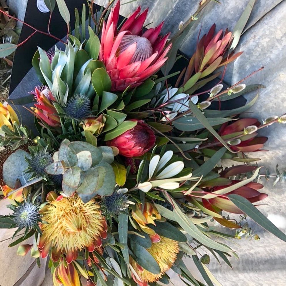 Creative Native Flowers – Starfish Florist